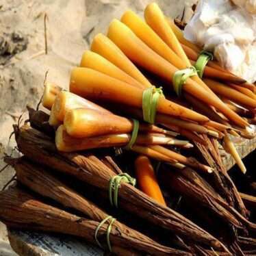 Buy Exotic Rare Fruits of India Online | Sitara Foods